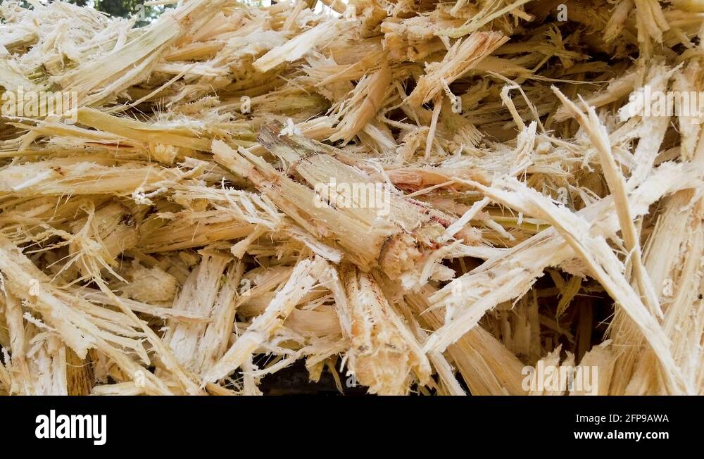 Sugarcane bagasse Stock Videos & Footage - HD and 4K Video Clips - Alamy