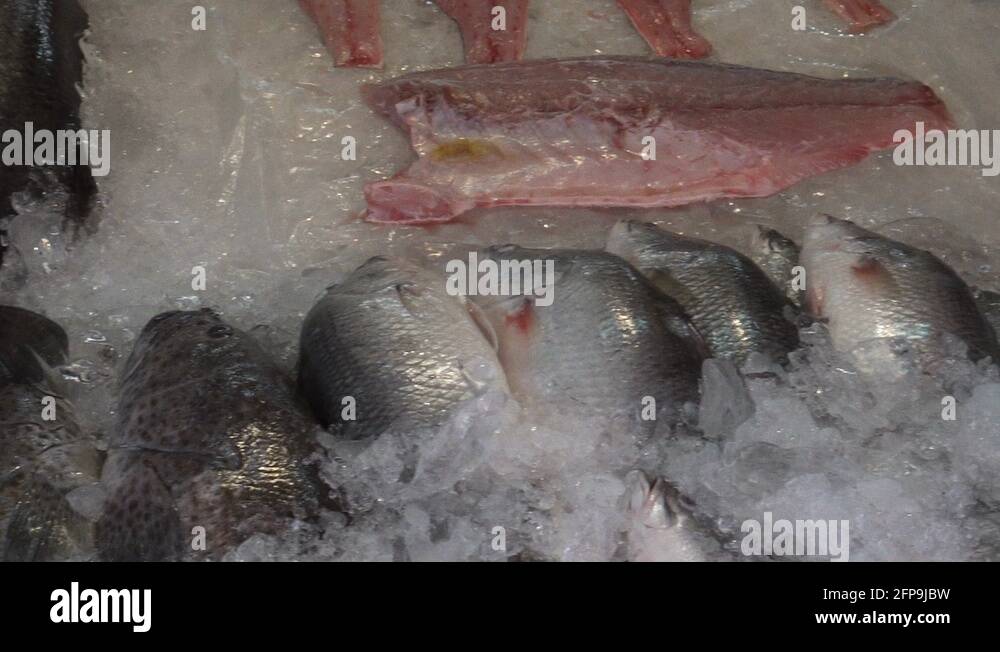 Fishmonger fish seafood market Stock Videos & Footage - HD and 4K Video ...