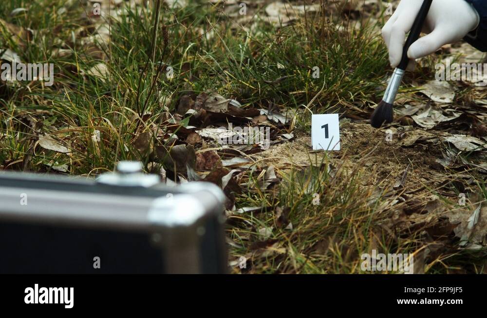 Crime case Stock Videos & Footage - HD and 4K Video Clips - Alamy