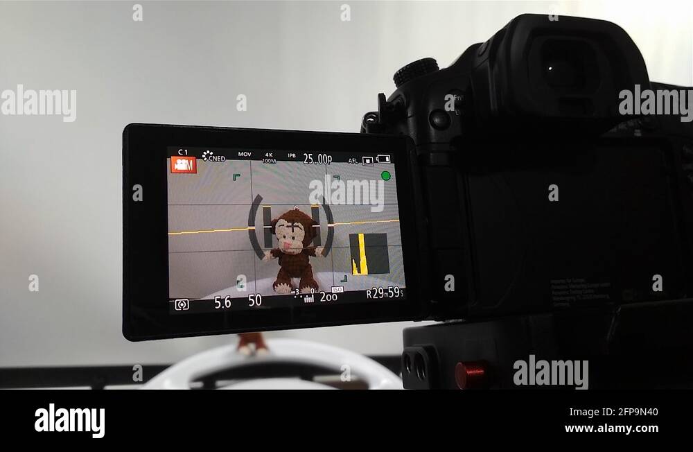 Camera menu Stock Videos & Footage - HD and 4K Video Clips - Alamy