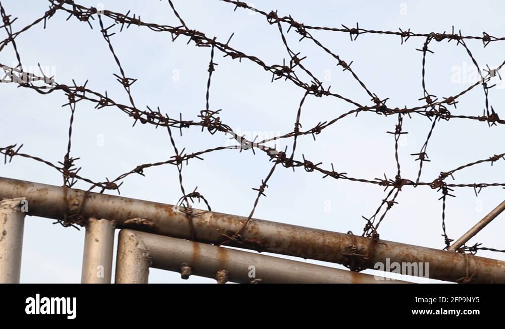 Messy barbed wire Stock Videos & Footage - HD and 4K Video Clips - Alamy
