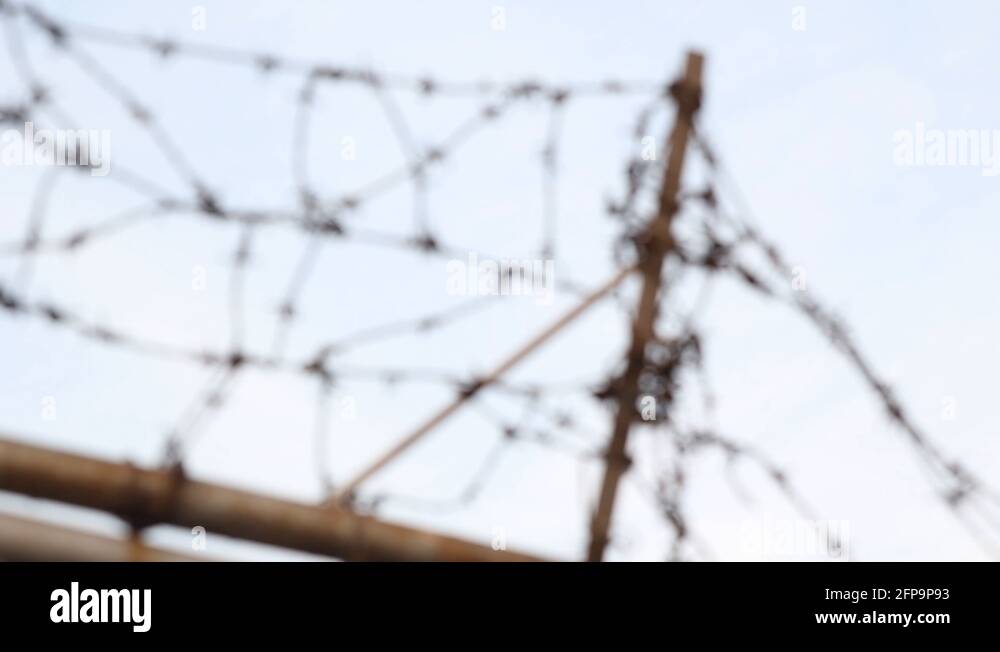 Tangled barbed wire Stock Videos & Footage - HD and 4K Video Clips - Alamy