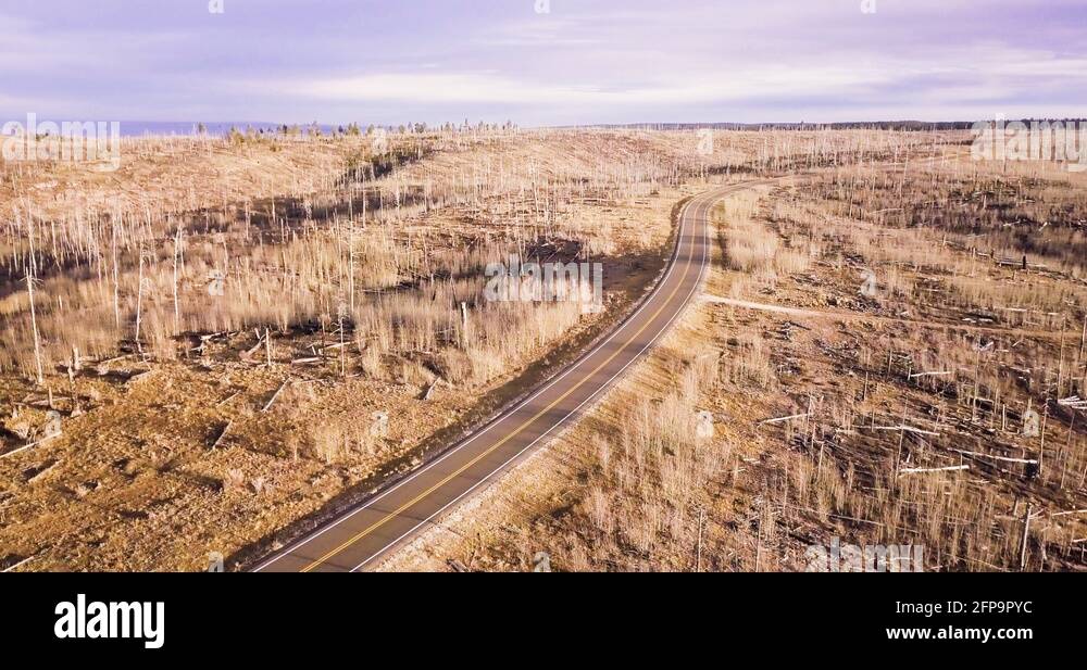 Devastated environment Stock Videos & Footage - HD and 4K Video Clips ...