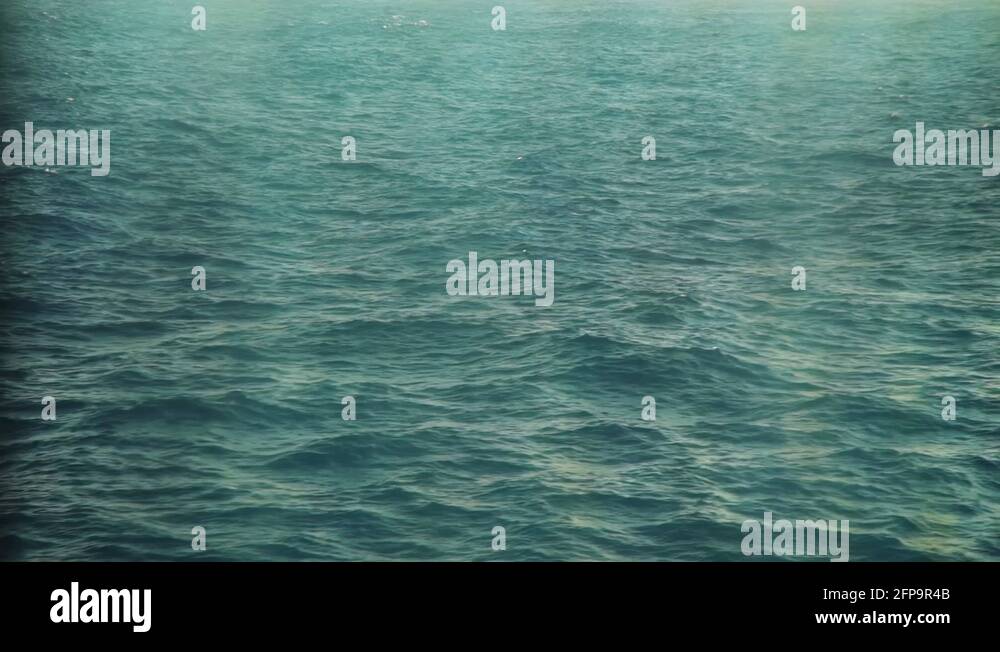 Coloring book coral reef Stock Videos & Footage - HD and 4K Video Clips ...