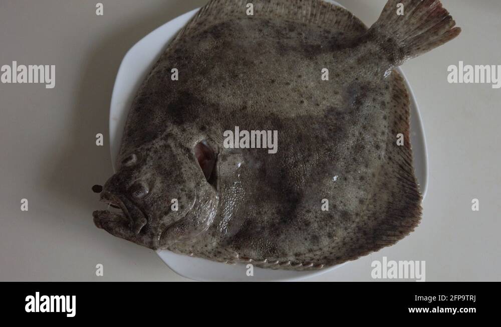 Lower face plate Stock Videos & Footage - HD and 4K Video Clips - Alamy