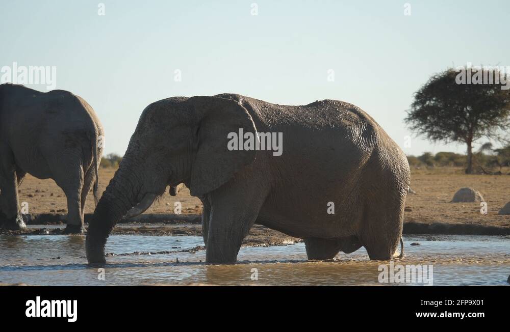 Knee deep Stock Videos & Footage - HD and 4K Video Clips - Alamy