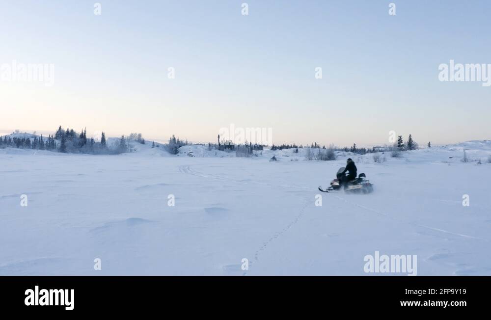 Man riding bird Stock Videos & Footage - HD and 4K Video Clips - Alamy
