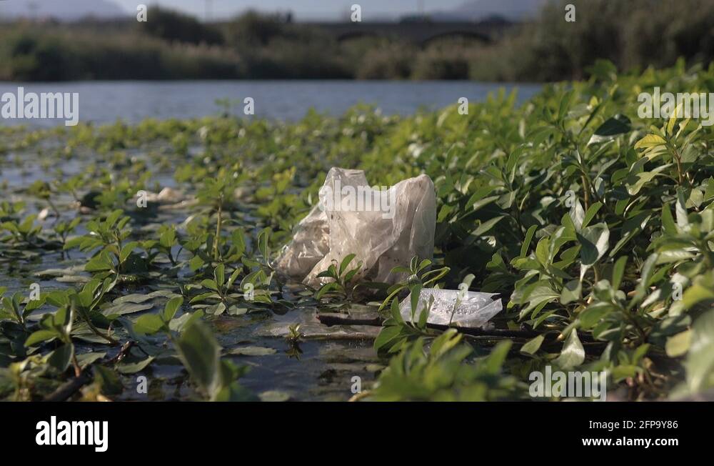 Discarded plastic waste in pond Stock Videos & Footage - HD and 4K ...