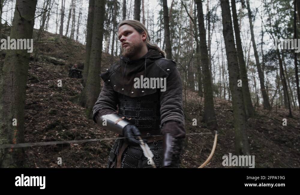 Medieval drawing forest Stock Videos & Footage - HD and 4K Video Clips ...