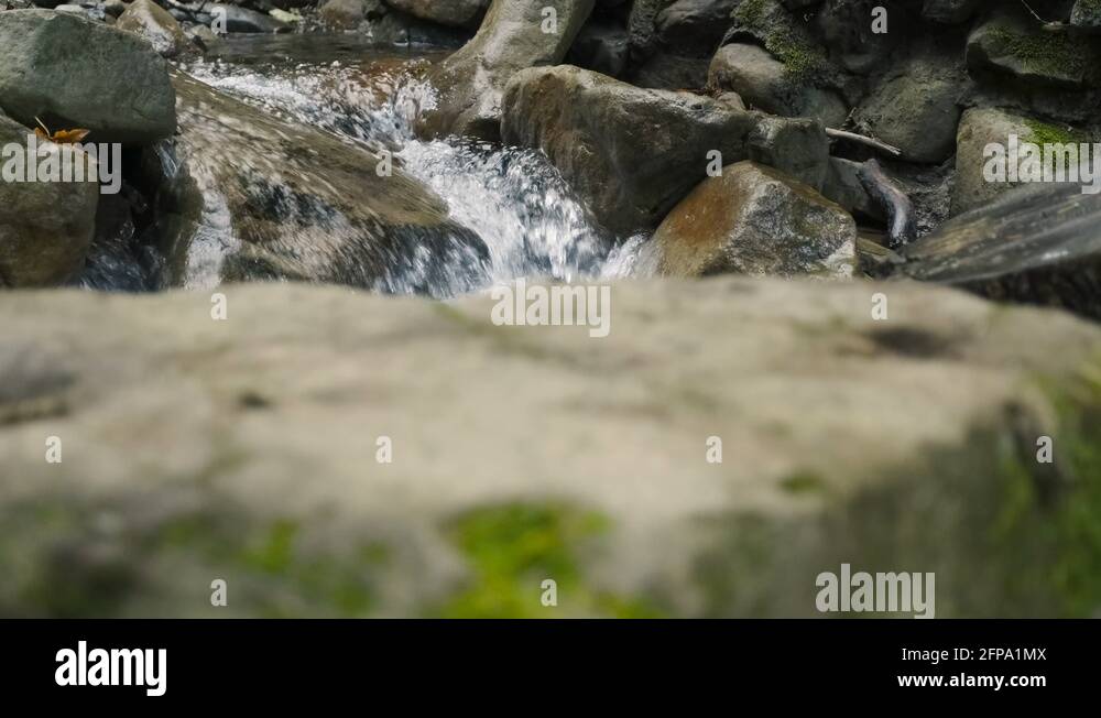 Gentle stream with rocks Stock Videos & Footage - HD and 4K Video Clips ...