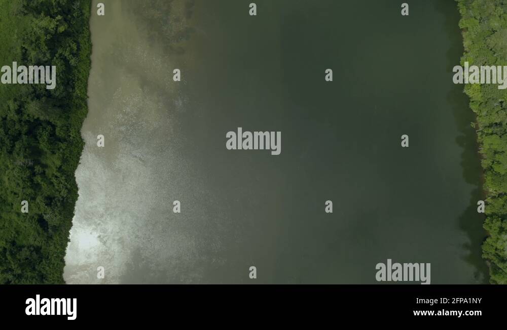 Amazon river birds eye Stock Videos & Footage - HD and 4K Video Clips ...
