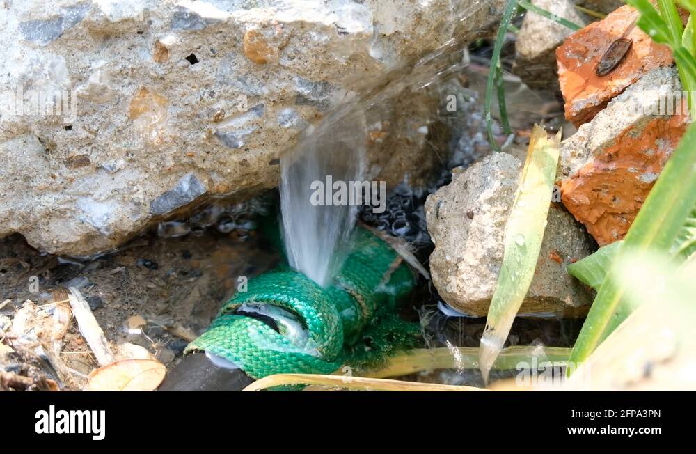 Inadequate irrigation Stock Videos & Footage - HD and 4K Video Clips ...