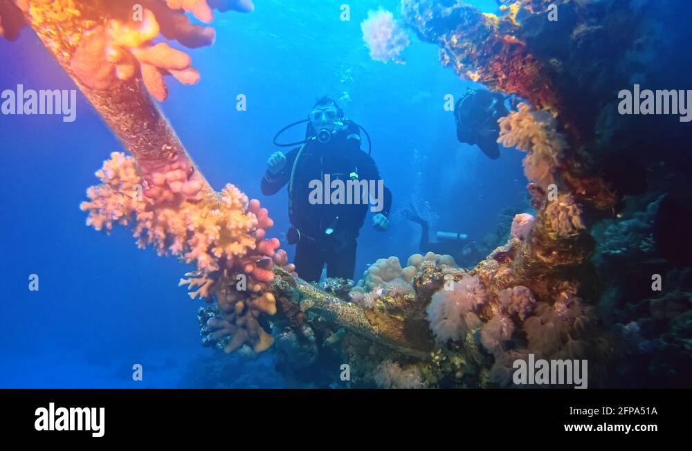 Guide bars Stock Videos & Footage - HD and 4K Video Clips - Alamy