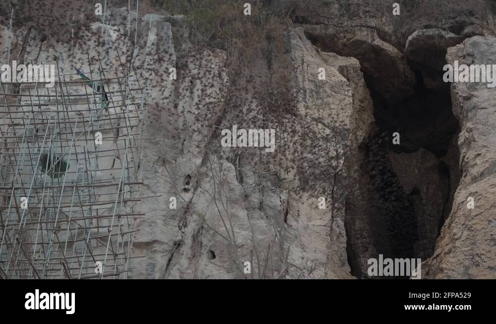 Killing cave Stock Videos & Footage - HD and 4K Video Clips - Alamy