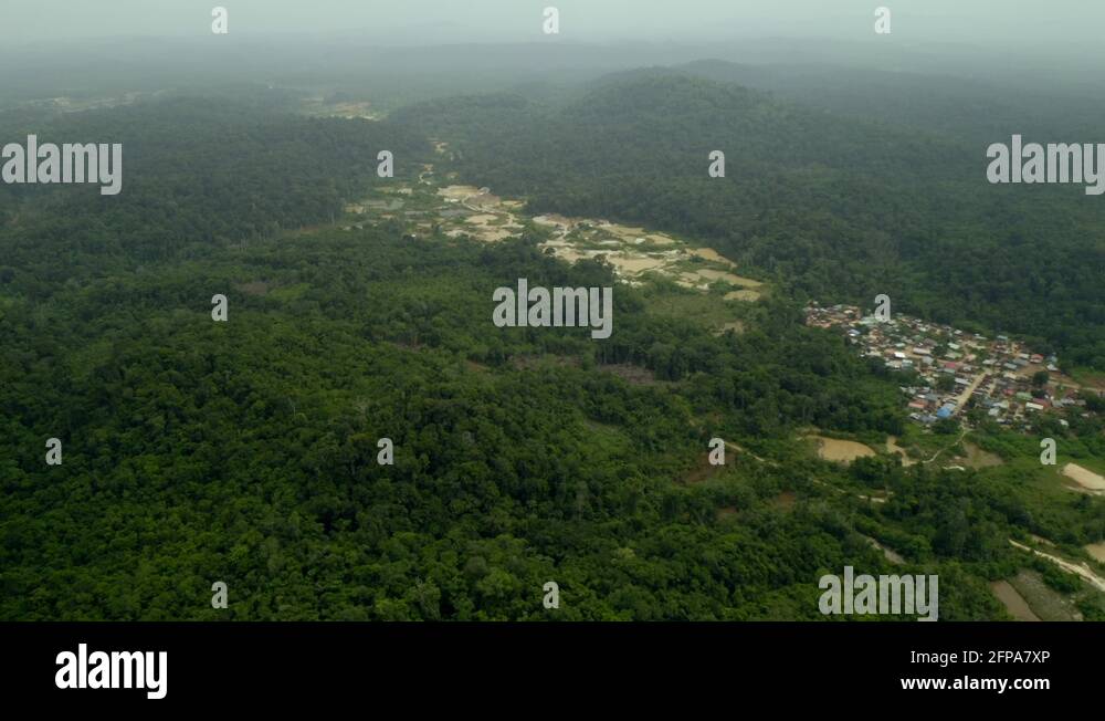 Rainforest community development Stock Videos & Footage - HD and 4K ...