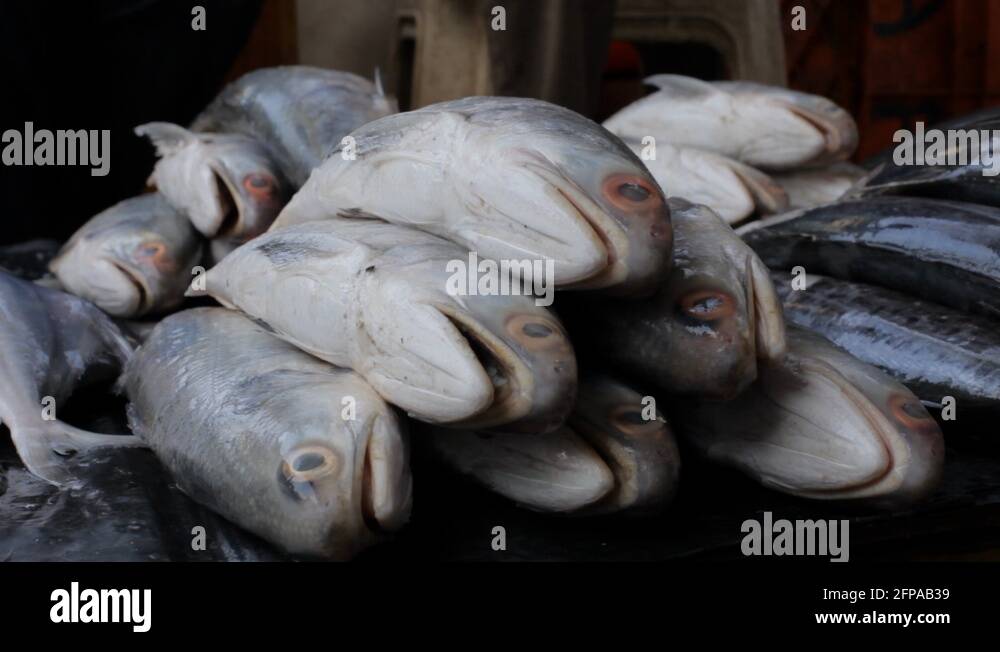 Mumbai seafood Stock Videos & Footage - HD and 4K Video Clips - Alamy