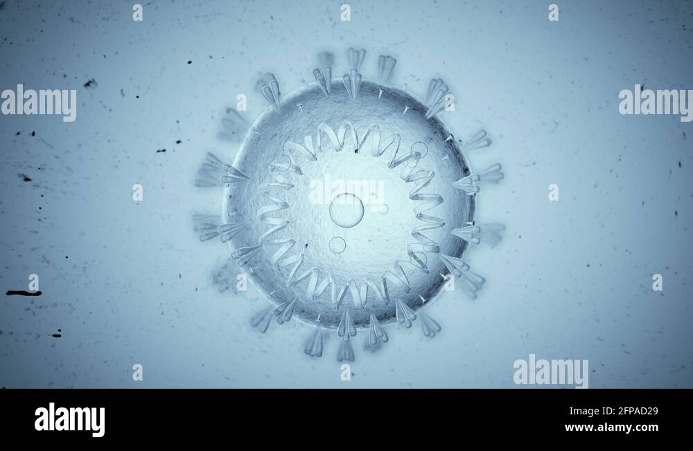 Bacteria needle microscope Stock Videos & Footage - HD and 4K Video ...