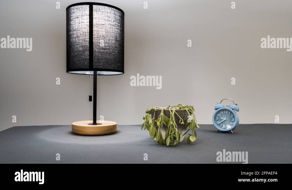 Dead alive plant Stock Videos & Footage - HD and 4K Video Clips - Alamy