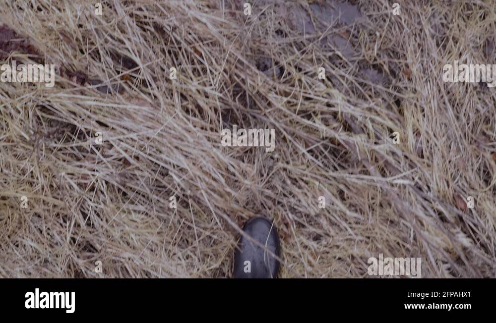 Muddy wellies grass Stock Videos & Footage - HD and 4K Video Clips - Alamy
