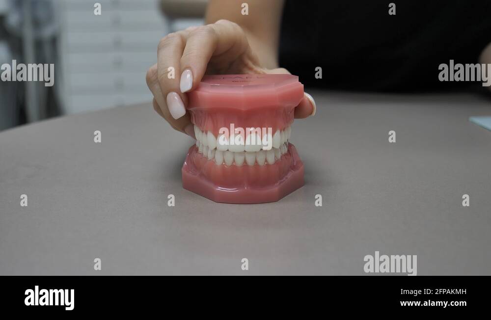 Woman showing how teeth with Invisalign looks on a teeth model Stock ...