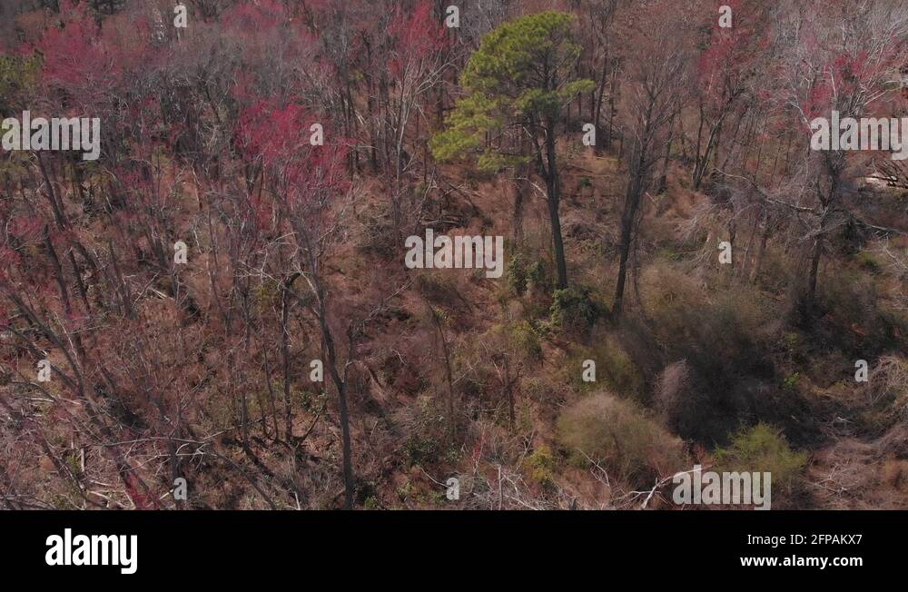 Brownish purple Stock Videos & Footage - HD and 4K Video Clips - Alamy