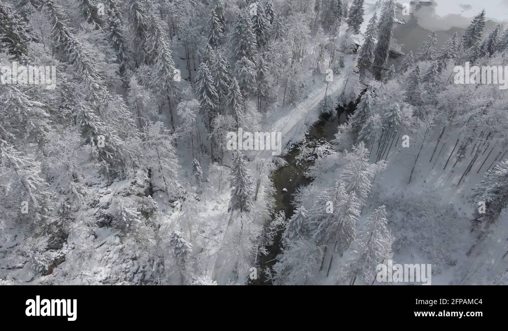 White covered stream with stream and forest Stock Videos & Footage - HD ...