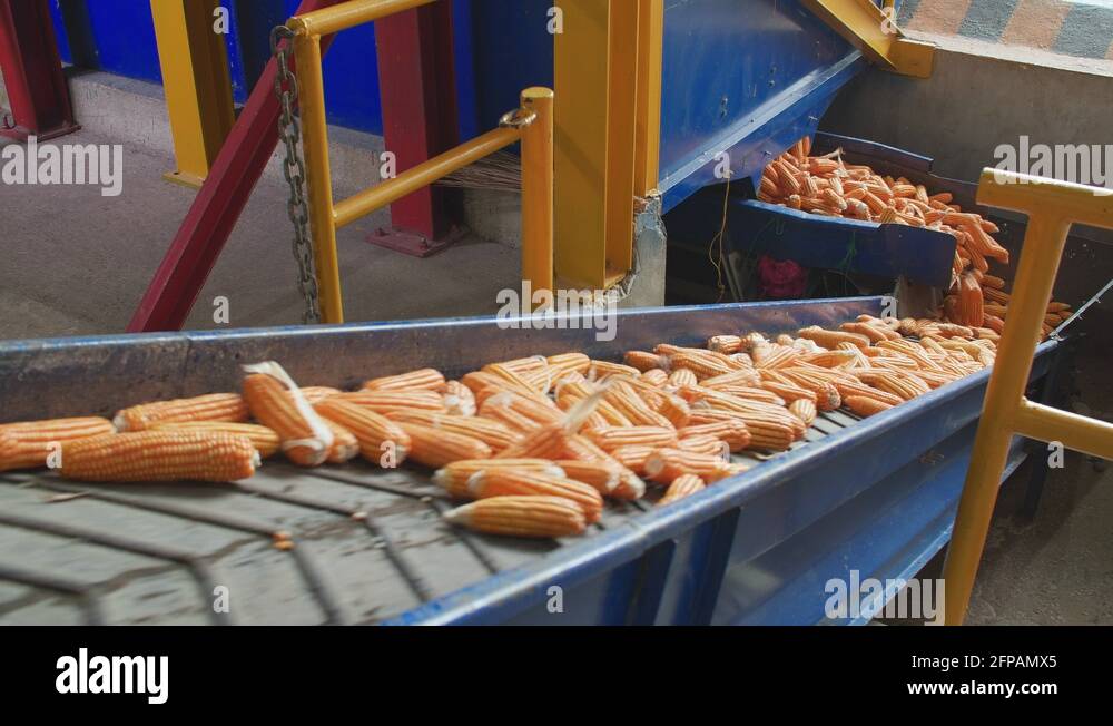 Smart conveyor belt Stock Videos & Footage - HD and 4K Video Clips - Alamy
