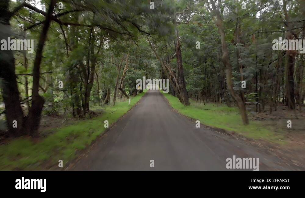 Enclosed by trees Stock Videos & Footage - HD and 4K Video Clips - Alamy