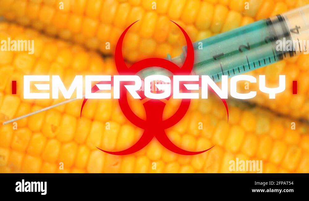 Word Emergency written over health hazard sign over syringe in a corn ...