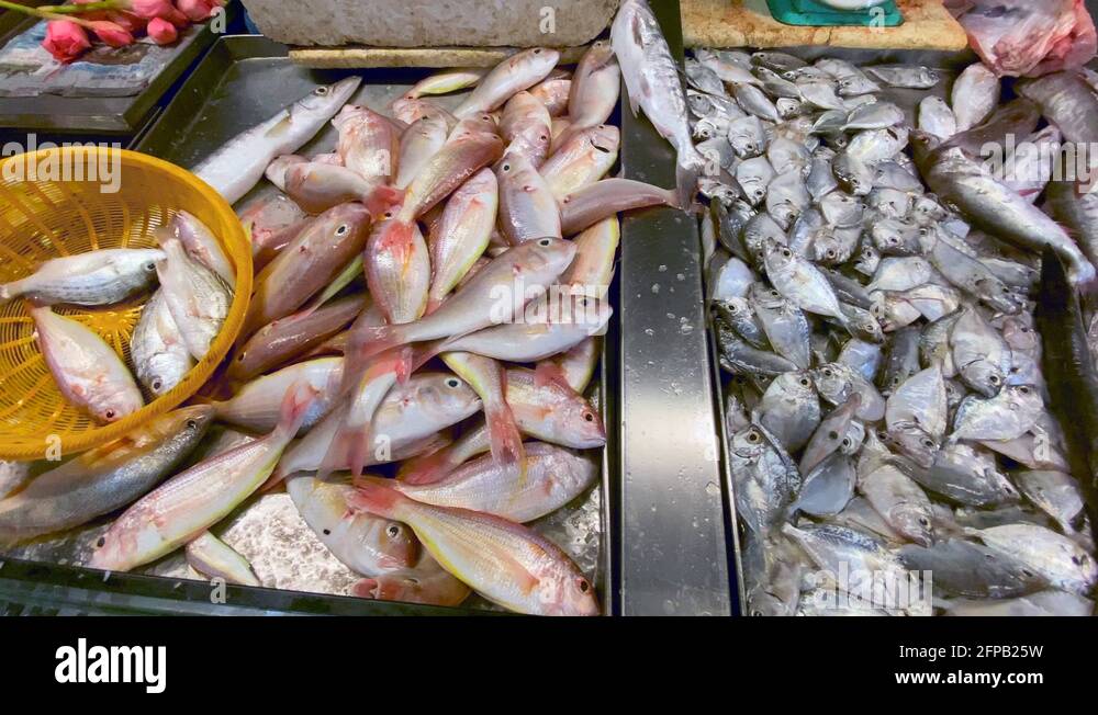 Fresh fish display Stock Videos & Footage - HD and 4K Video Clips - Alamy