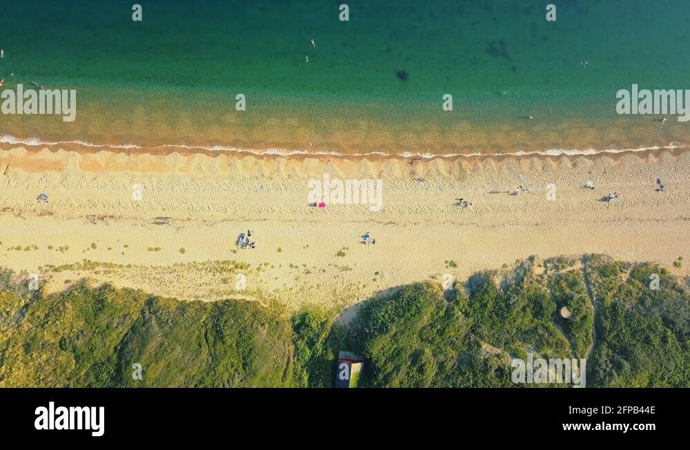 Waterline at beach Stock Videos & Footage - HD and 4K Video Clips - Alamy