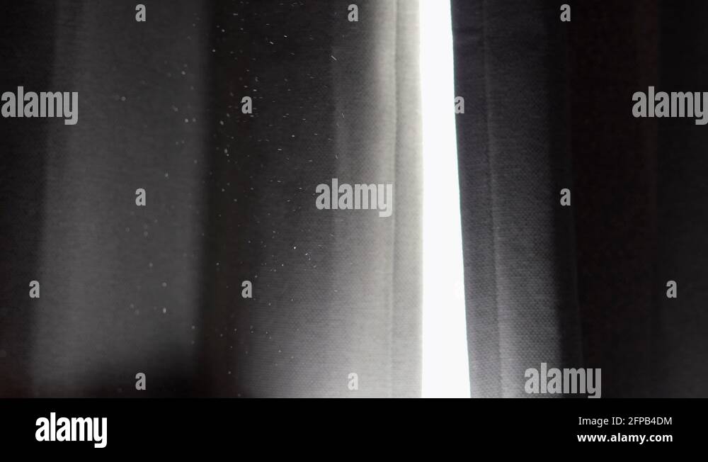 Dust particles sunlight Stock Videos & Footage - HD and 4K Video Clips ...