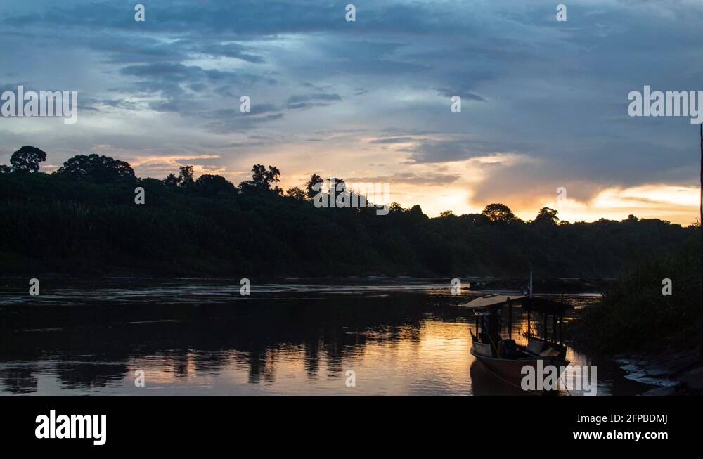 Rainforest sunset Stock Videos & Footage - HD and 4K Video Clips - Alamy