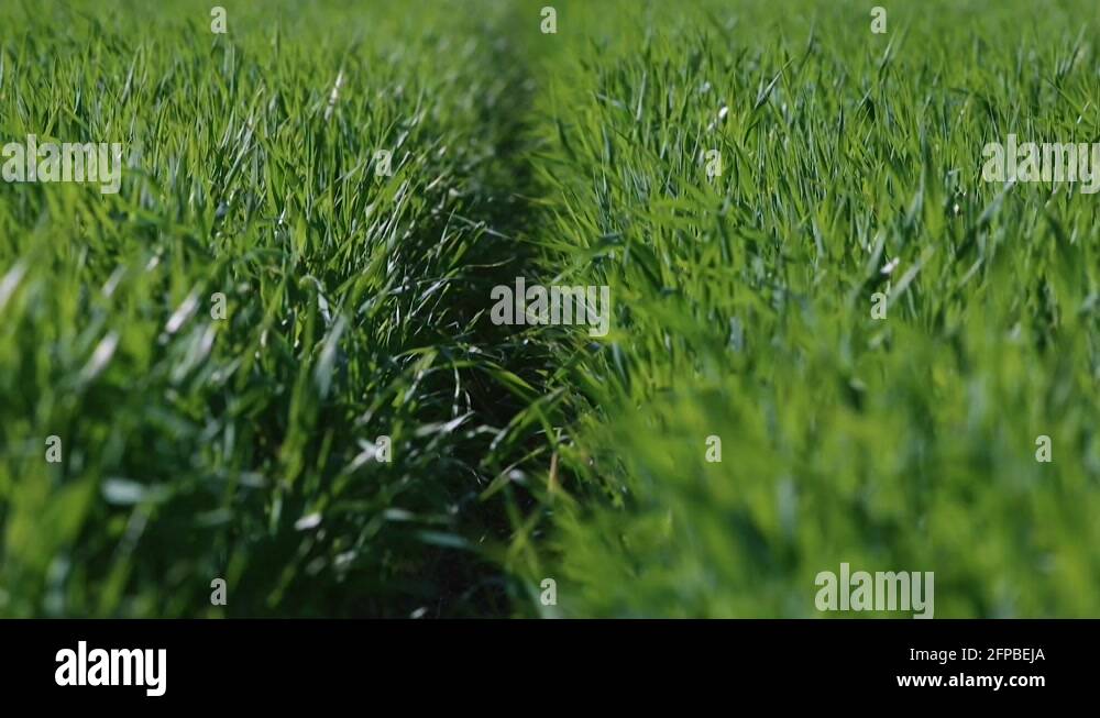 Separation of land Stock Videos & Footage - HD and 4K Video Clips - Alamy