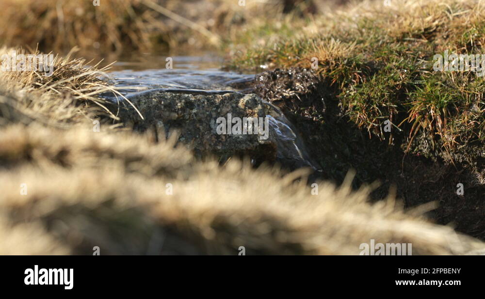 A fresh clear water streaming from the melting ice from the mountains ...