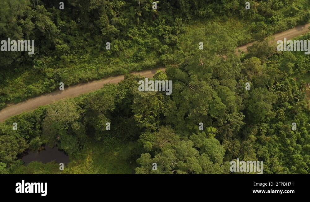 Rainforest road deforestation Stock Videos & Footage - HD and 4K Video ...