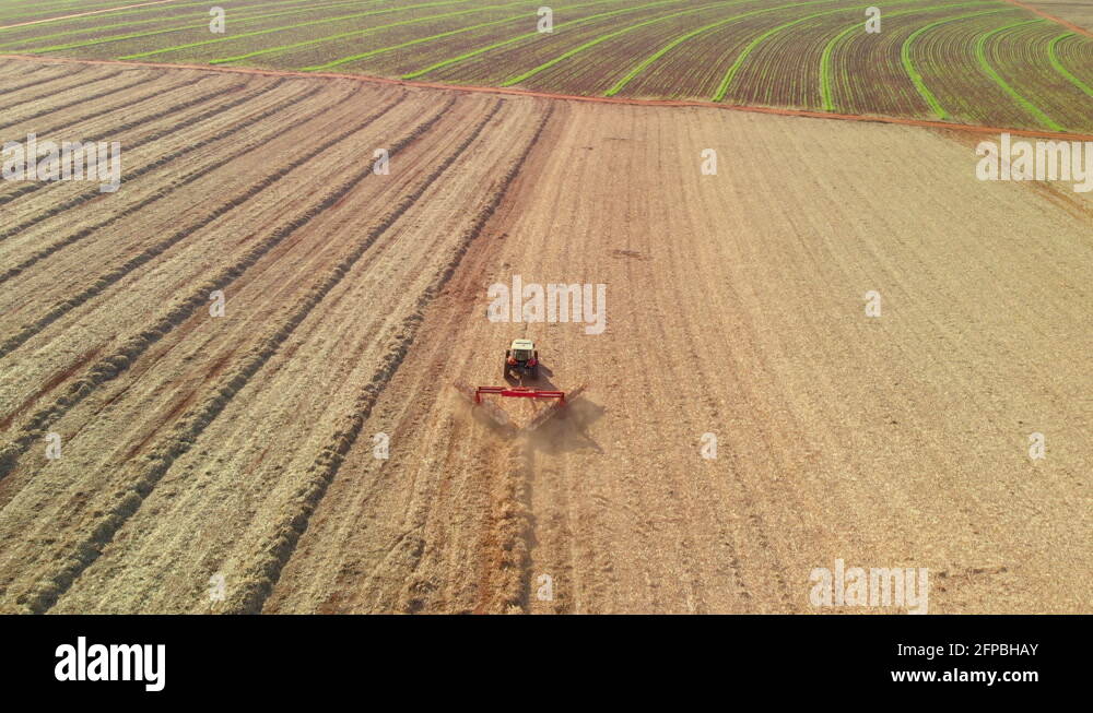 Cane tractor Stock Videos & Footage - HD and 4K Video Clips - Alamy