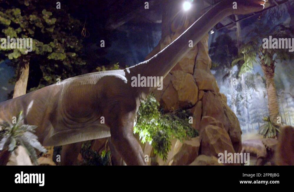 Dinosaur land Stock Videos & Footage - HD and 4K Video Clips - Alamy