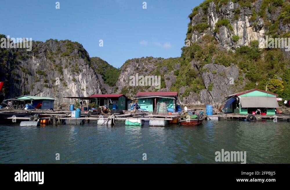 Fish farm village Stock Videos & Footage - HD and 4K Video Clips - Alamy