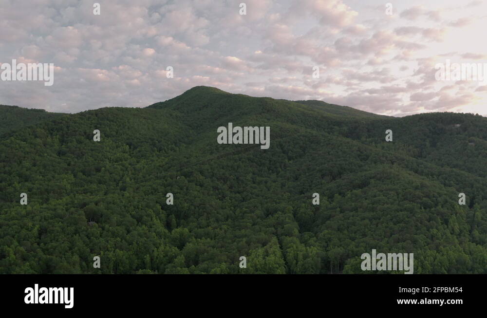 Tree range Stock Videos & Footage - HD and 4K Video Clips - Alamy