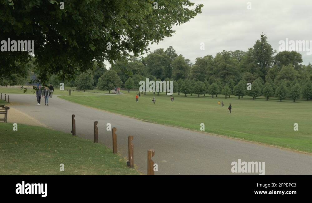 Social distancing in nature Stock Videos & Footage - HD and 4K Video ...