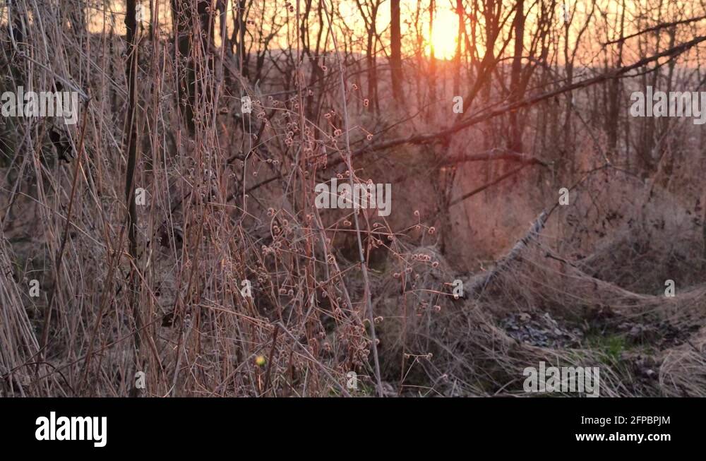 Eerie place Stock Videos & Footage - HD and 4K Video Clips - Alamy