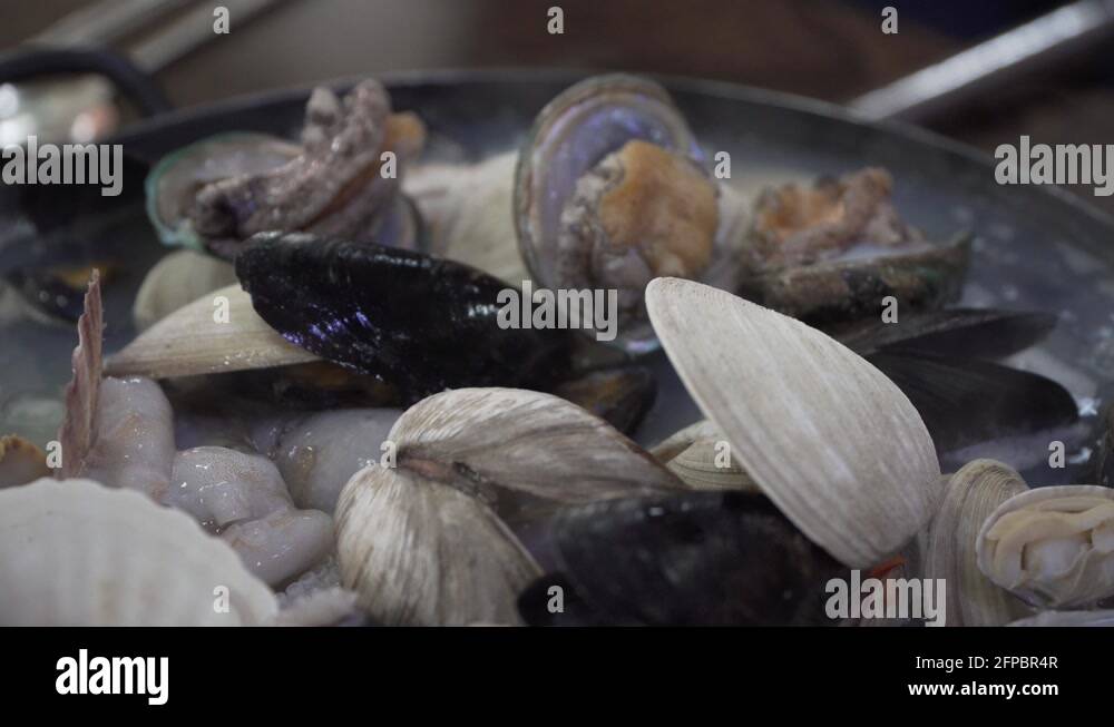 Ormer or abalone or ear shell Stock Videos & Footage - HD and 4K Video ...