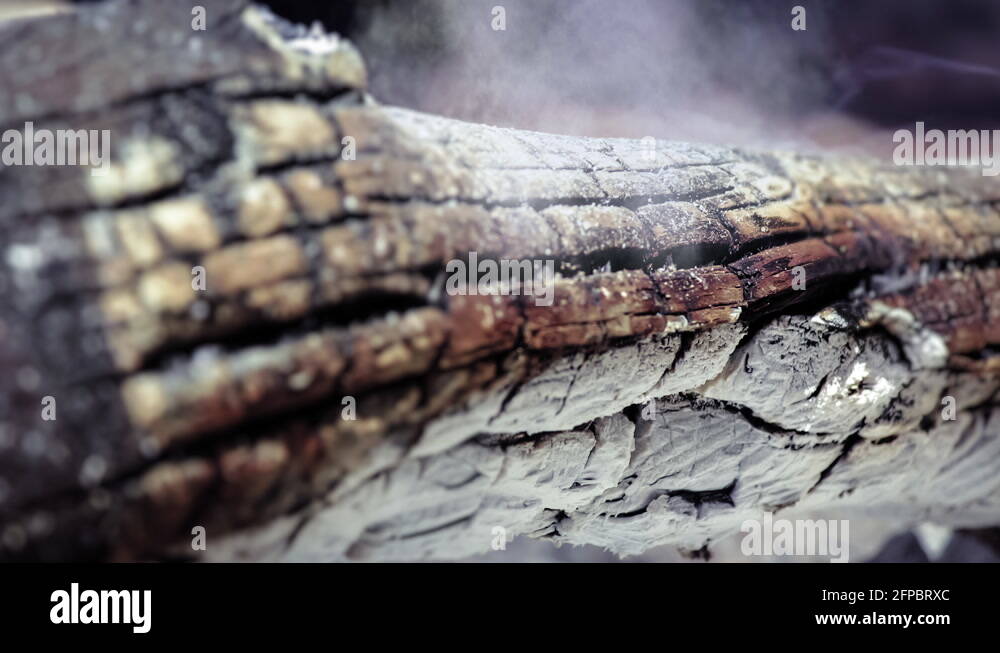 Burnt photo texture Stock Videos & Footage - HD and 4K Video Clips - Alamy