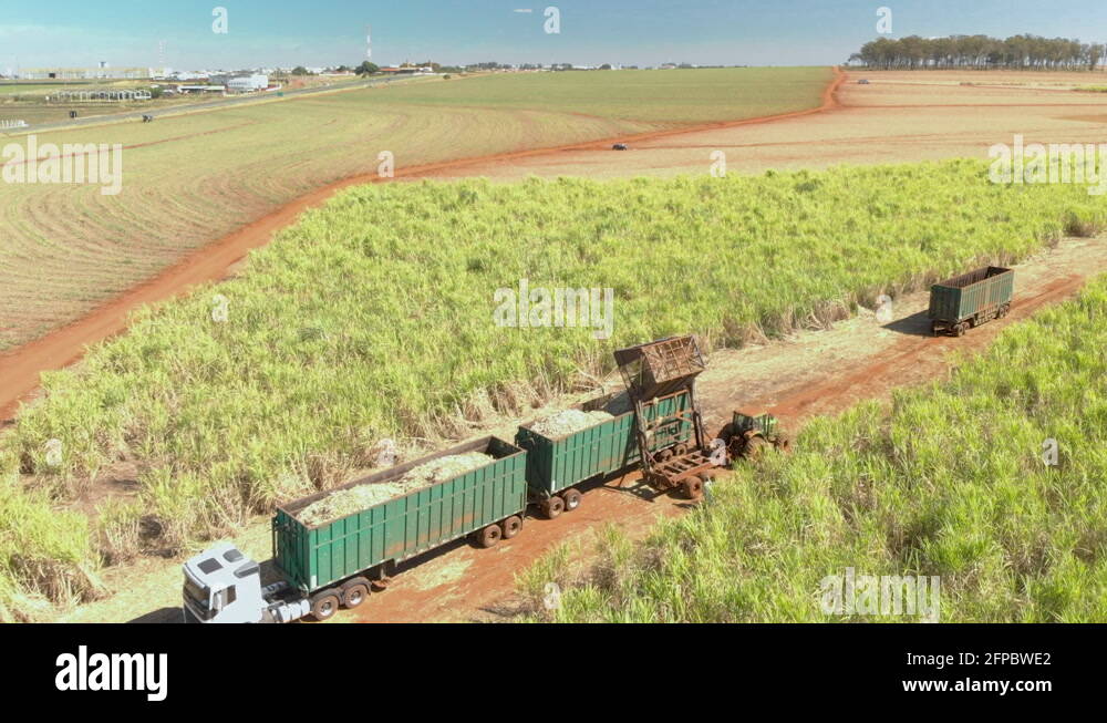 Brazil sugar cane aerial Stock Videos & Footage - HD and 4K Video Clips ...