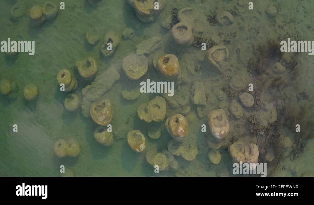 Prehistoric structures Stock Videos & Footage - HD and 4K Video Clips ...