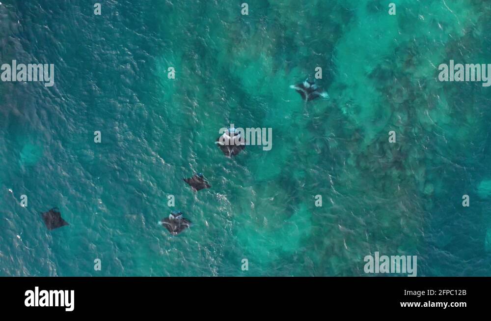 Five rays Stock Videos & Footage - HD and 4K Video Clips - Alamy