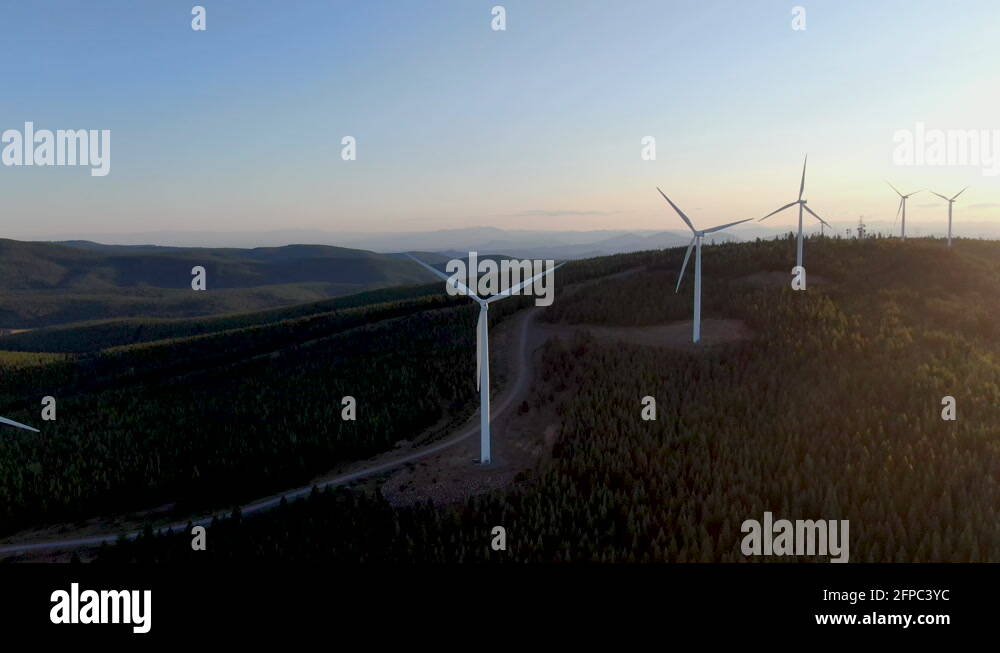 Sunsetting eye Stock Videos & Footage - HD and 4K Video Clips - Alamy