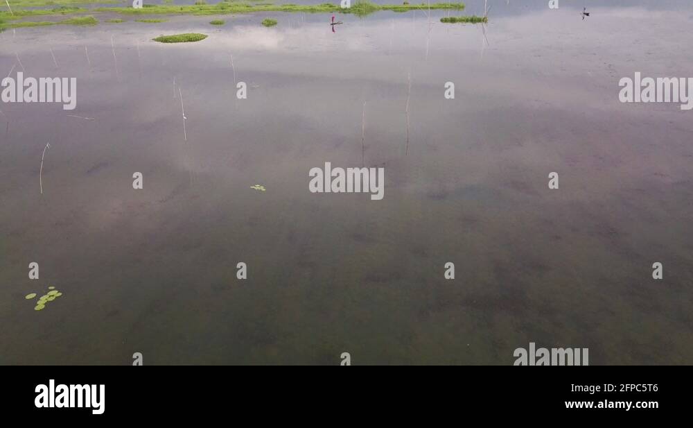 Floating phumdis of loktak lake Stock Videos & Footage - HD and 4K ...