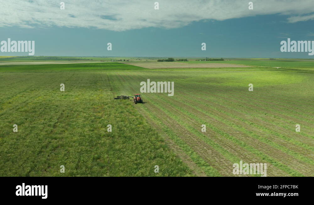 Swathing hay Stock Videos & Footage - HD and 4K Video Clips - Alamy